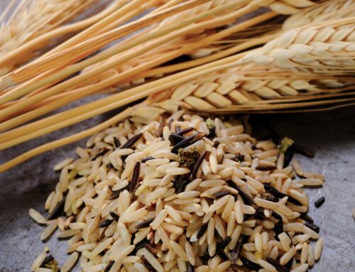 Riz aux 7 céréales - Inariz